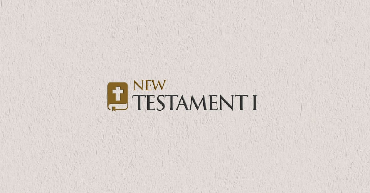 New Testament I: The Gospels and Acts | Liberty | School of Ministry